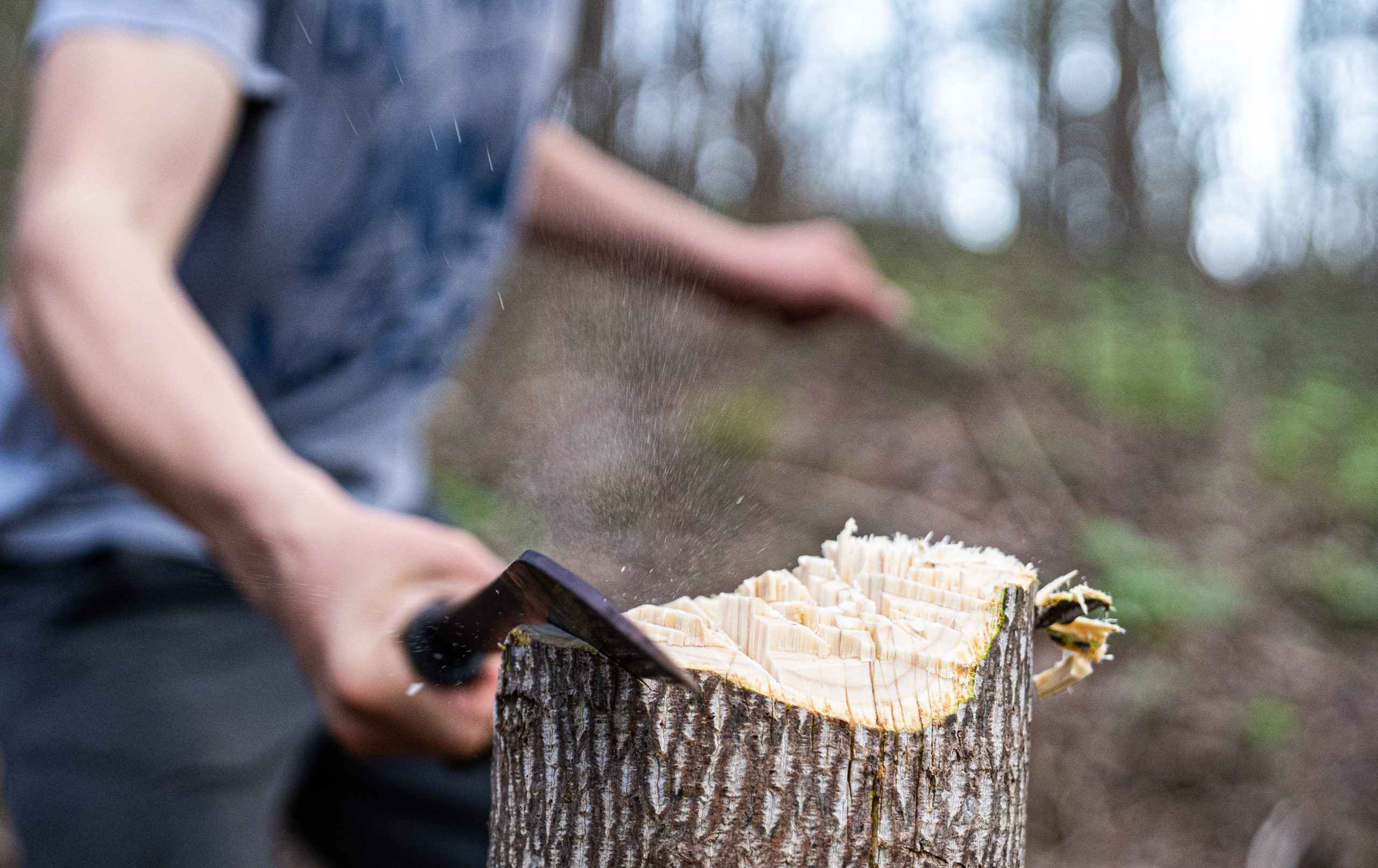 The Shape of the Blade - Palawan Blade